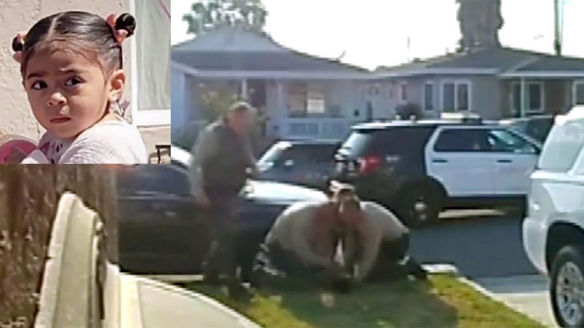 Watch: Deputies Save Toddler Who Fell Into Pool – NBC Los Angeles