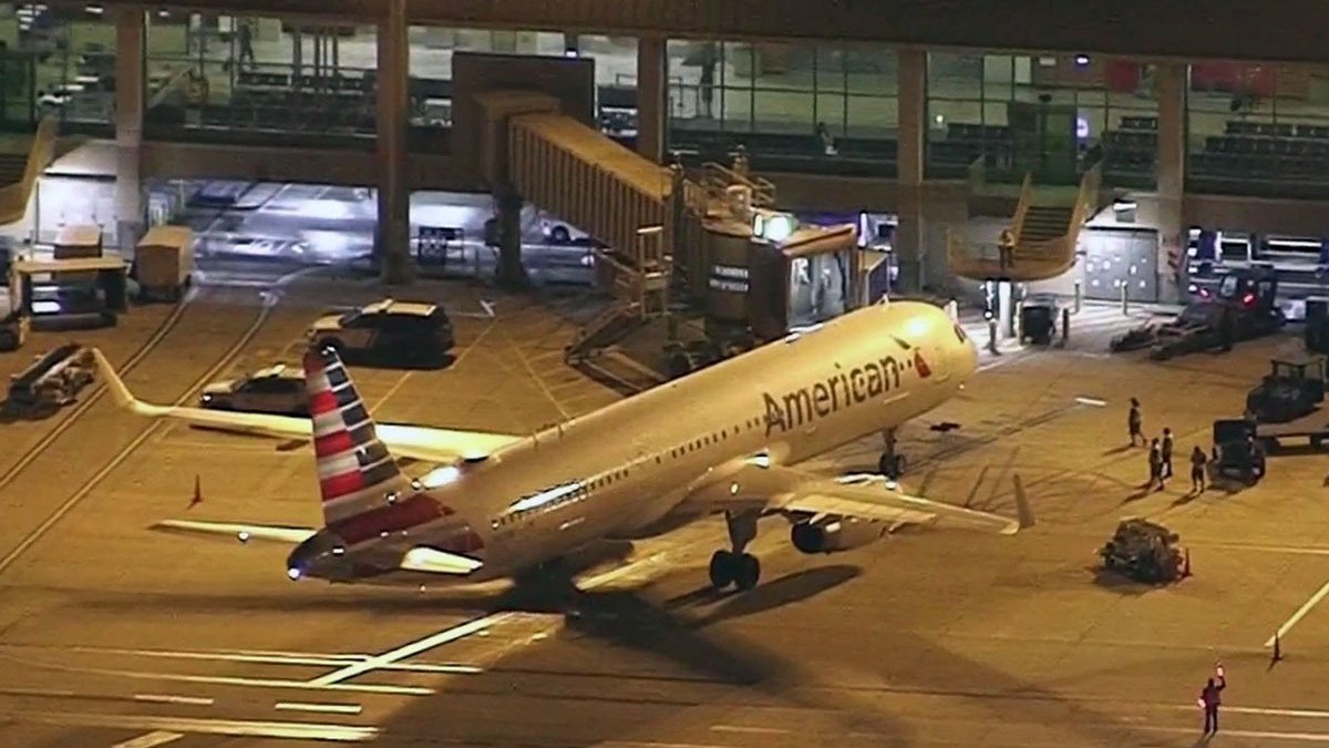 American Airlines Flight Diverted After Passenger Assaults Attendant ...