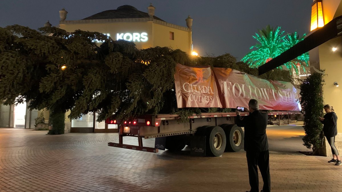 A Colossal Christmas Tree Just Pulled Into Citadel Outlets – NBC Los ...