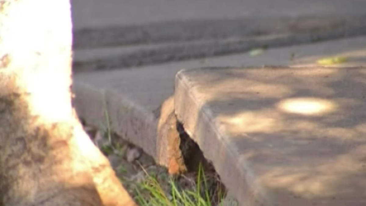 LA Sidewalks Are Still Dangerous, Audit Finds – NBC Los Angeles