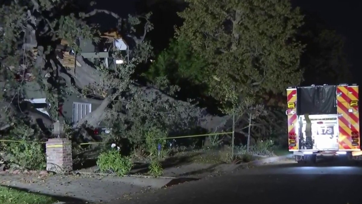 One Dead After Tree Falls on Encino Home – NBC Los Angeles