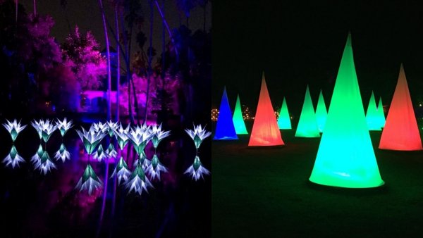La Arboretums ‘lightscape Begins Its Seasonal Shimmer Nbc Los Angeles