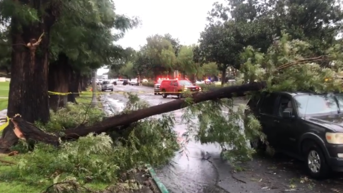 PHOTOS: December Storm Rolls Through SoCal – NBC Los Angeles