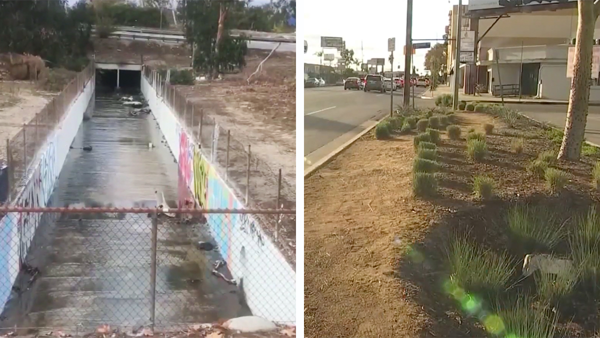 Saving Rain Runoff in LA is as Simple as a Traffic Median – NBC Los Angeles