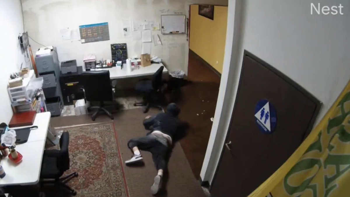 Snake Burglar Strikes Again? Slithering Bandit Caught on Camera – NBC ...