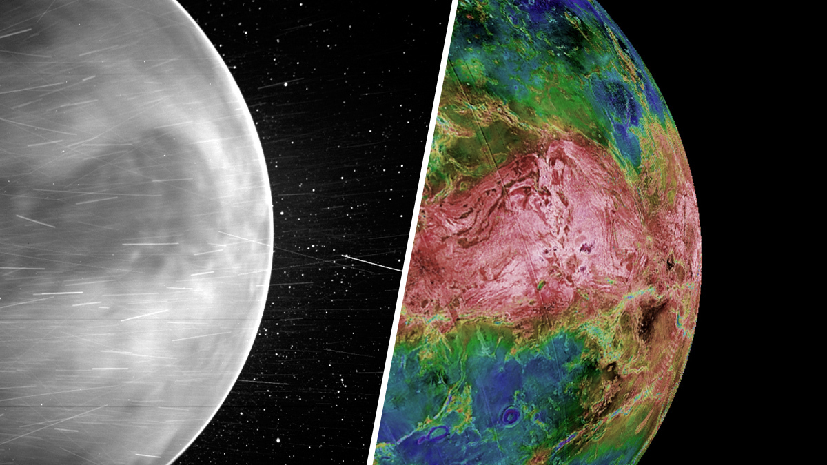 Dark Side of Venus Revealed in New NASA Photos – NBC Los Angeles