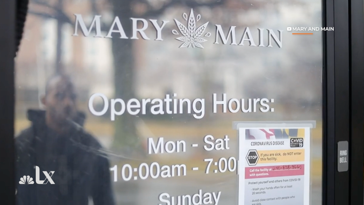 Entrepreneur Hope Wiseman Is Eroding the Stigma of Marijuana in Black ...