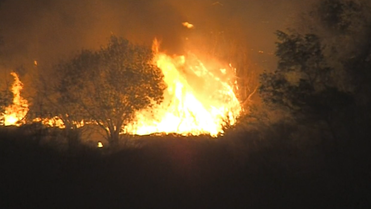 Brushfire Breaks Out at Hansen Dam in Lakeview Terrace – NBC Los Angeles