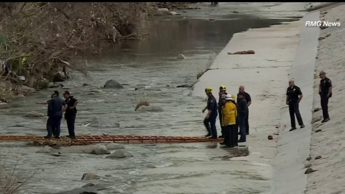 Pacoima Wash Getting Long-Awaited Improvements – NBC Los Angeles
