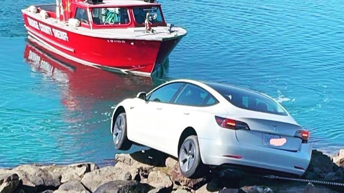 Dana Point Parking Mishap: Tesla Driver Hits Accelerator Instead of ...