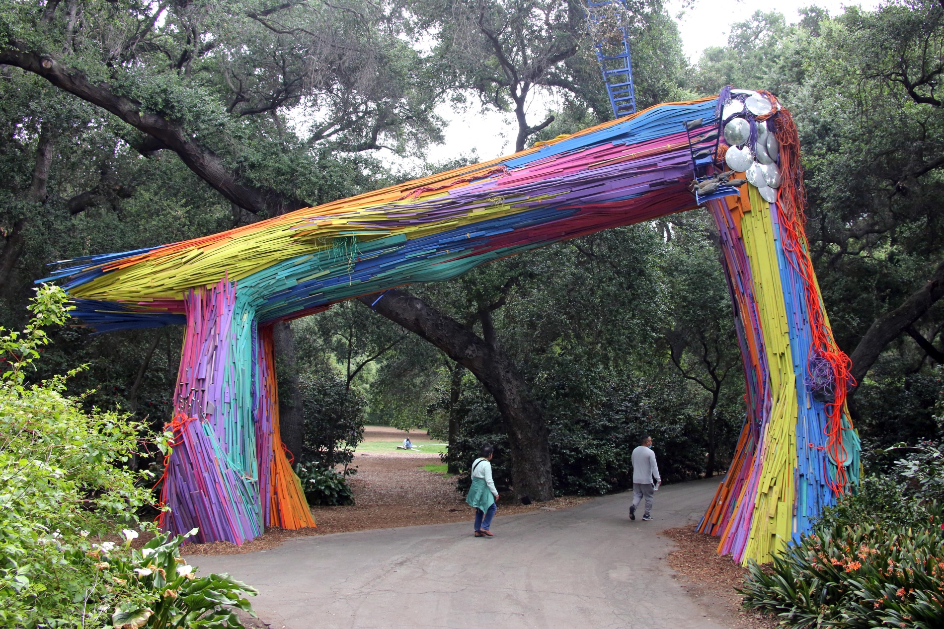 Strange Art Is Abloom at Descanso Gardens – NBC Los Angeles