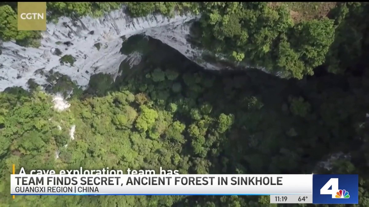 Ancient Forest Found in Massive China Sinkhole – NBC Los Angeles