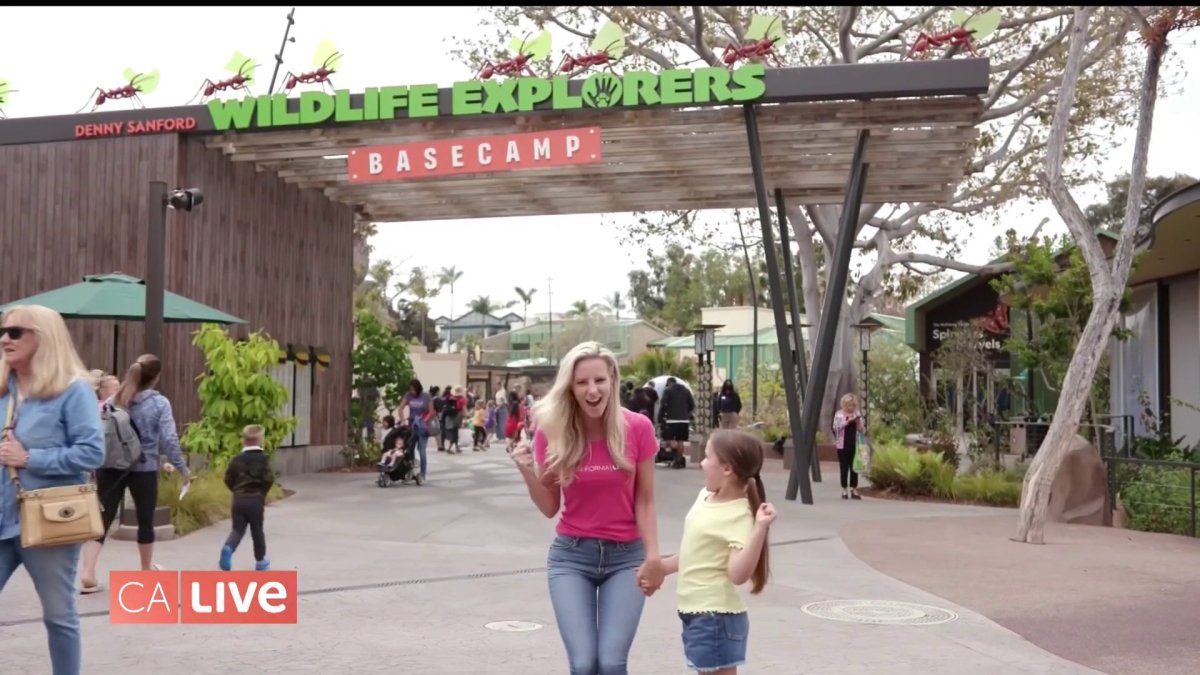 Feel What it’s Like to be Wild at the Wildlife Explorers Basecamp at ...
