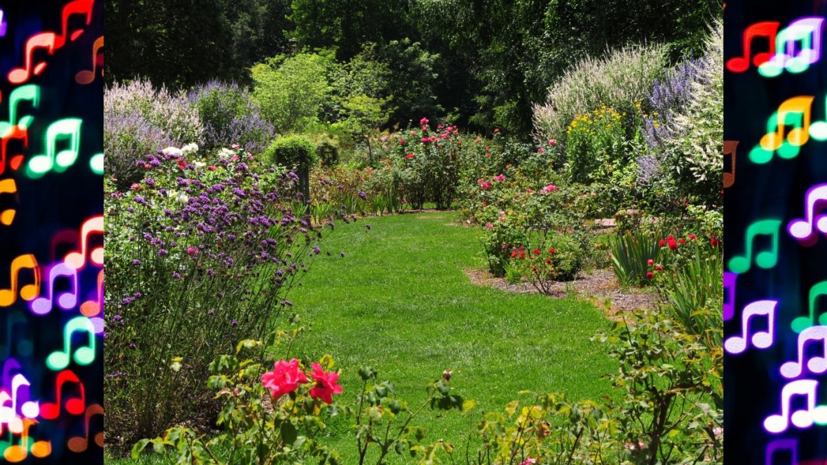 Explore Ethereal Soundscapes at Descanso Gardens – NBC Los Angeles