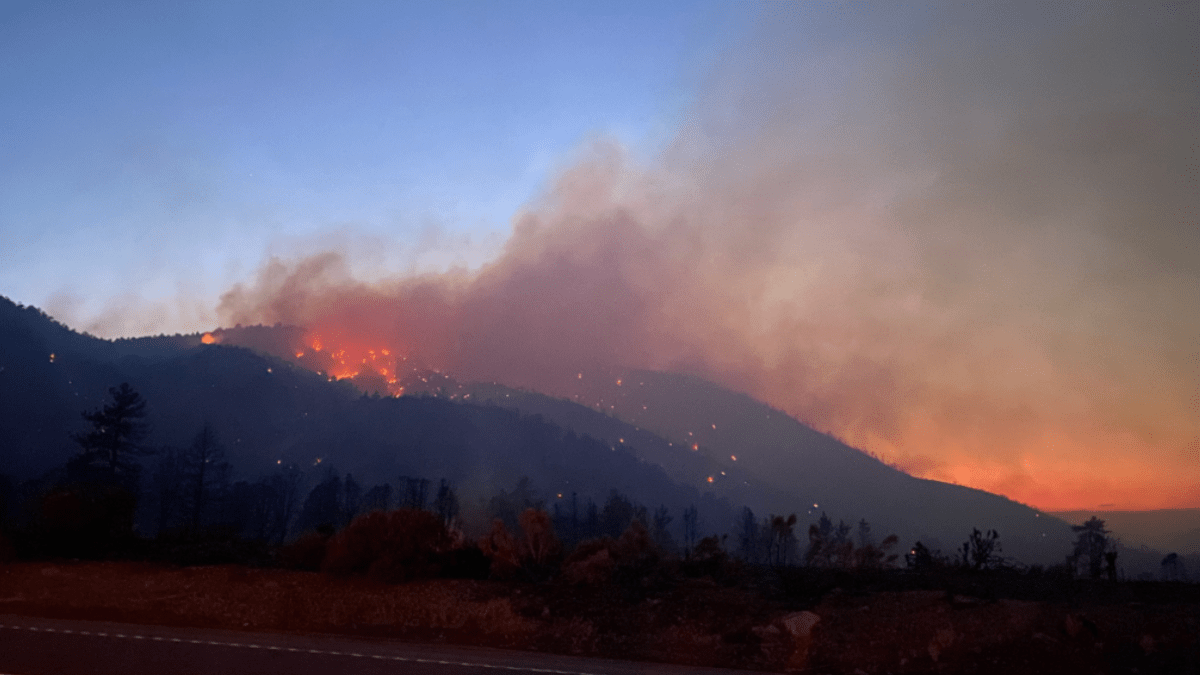 Sheep Fire Causes Lower Air Quality Leading to Advisory – NBC Los Angeles