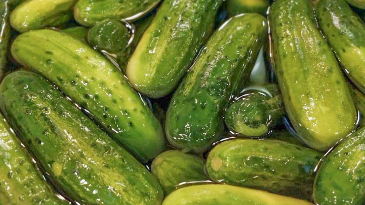 This Free ‘Pickle Palooza’ Is a Pretty Big Dill – NBC Los Angeles