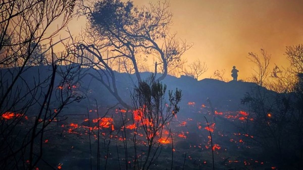 Firefighters Stop Brush Fire in Santa Barbara – NBC Los Angeles