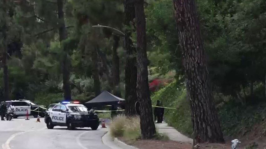 Man Falls From Tree and Dies in Beverly Hills – NBC Los Angeles