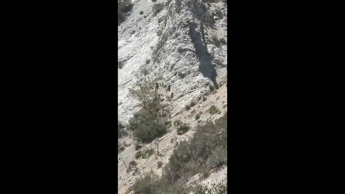 Watch: Dog and Owner Hoisted From Edge of Mt. Wilson Cliff – NBC Los ...