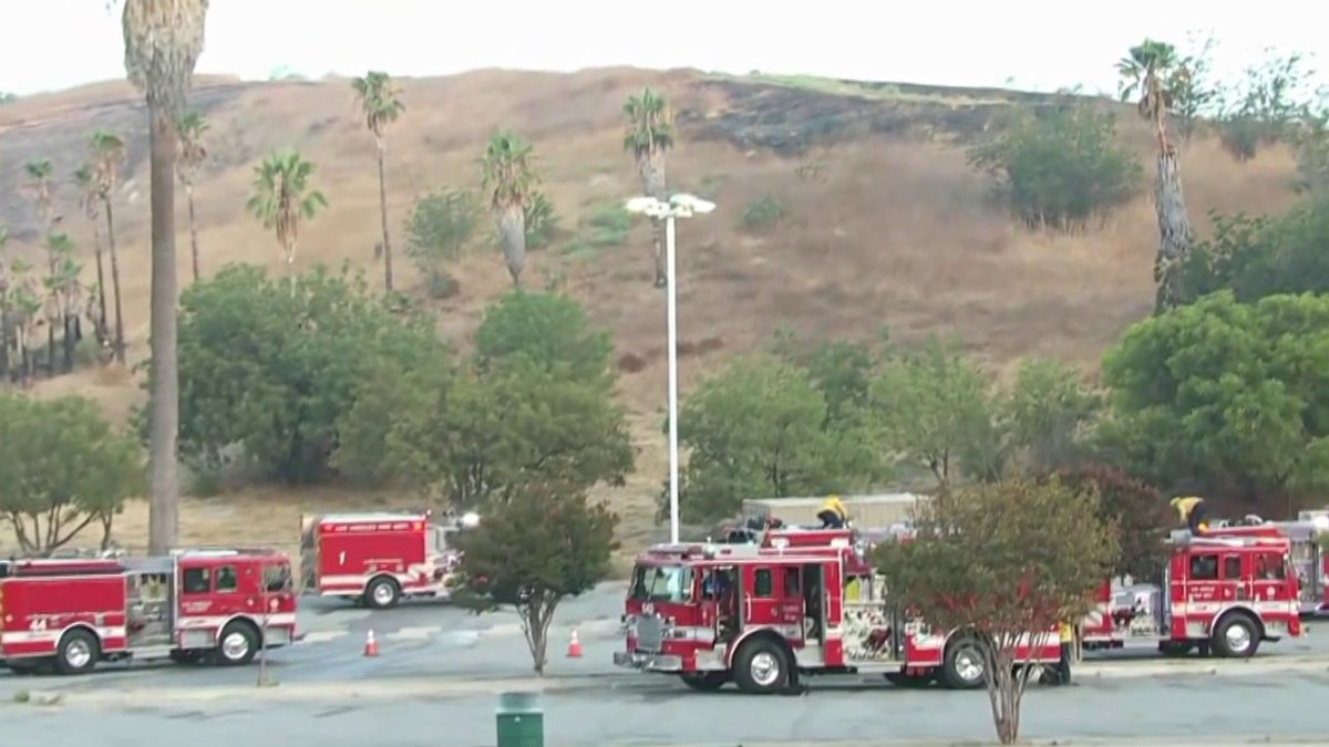 Brush Fire Burns on Hillside Above Homes in El Sereno – NBC Los Angeles