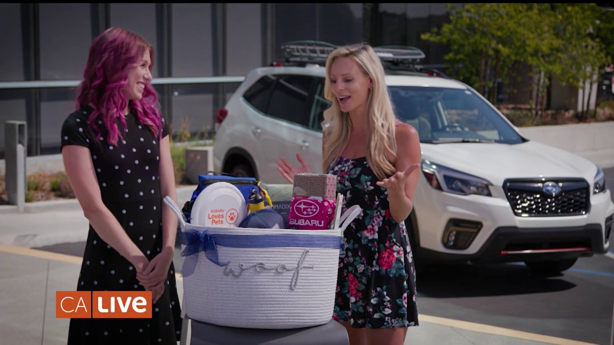 Subaru, NBC and Telemundo are Honoring Our Pawsitively Good Award ...