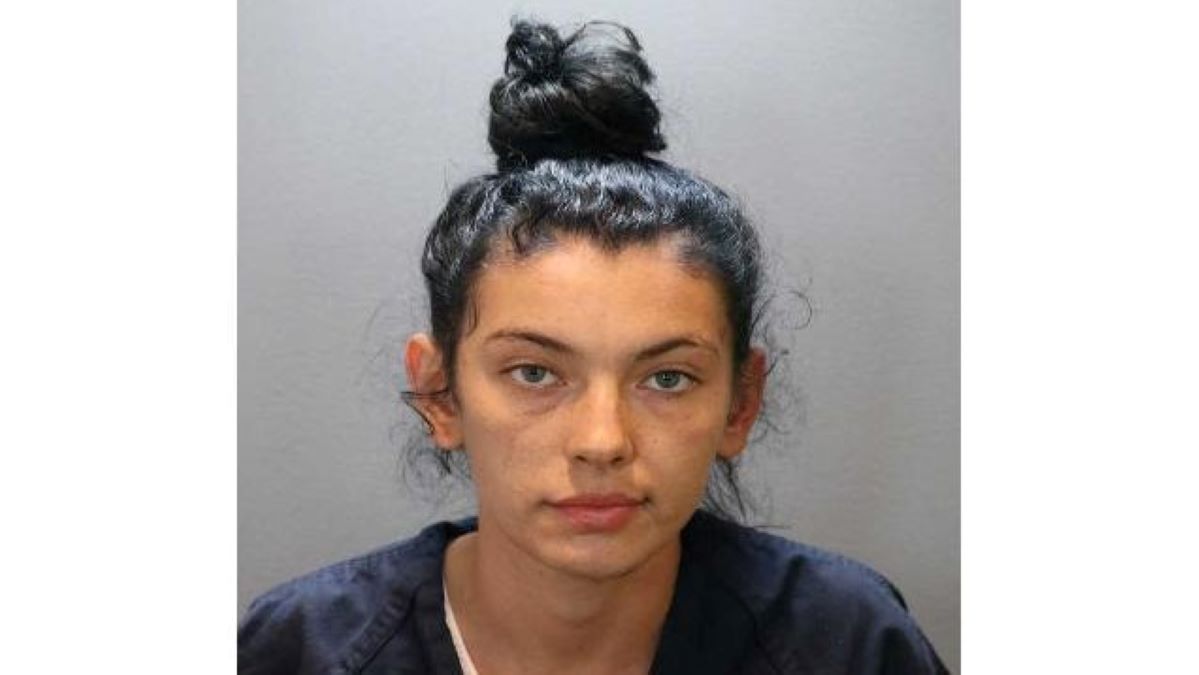 Woman Accused of Ramming Car Into Man Over Cat Dispute – NBC Los Angeles