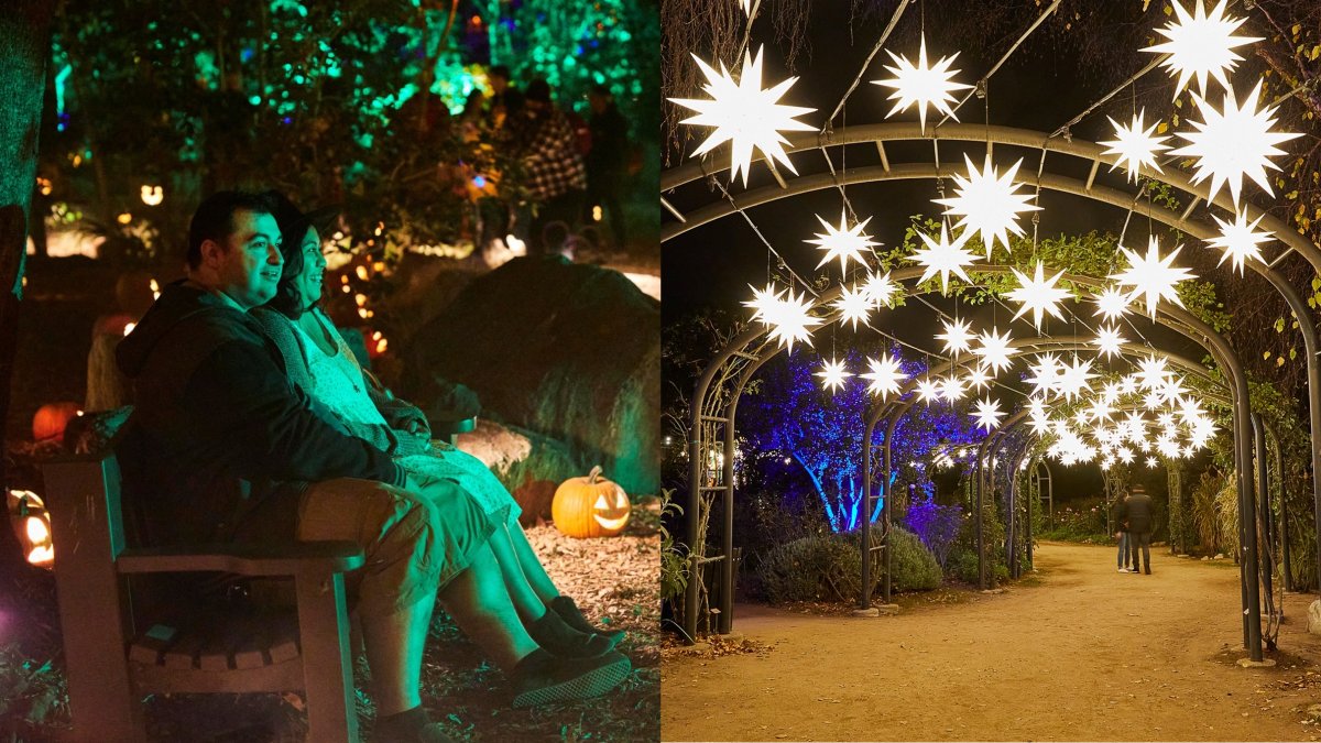 ‘Carved’ and ‘Enchanted’ Tickets Now Aglow for Descanso Gardens Members ...