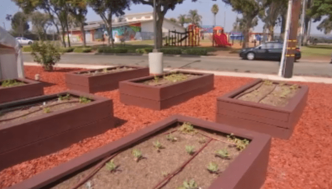 Compton Farm Becomes Newest “People’s Garden” – NBC Los Angeles