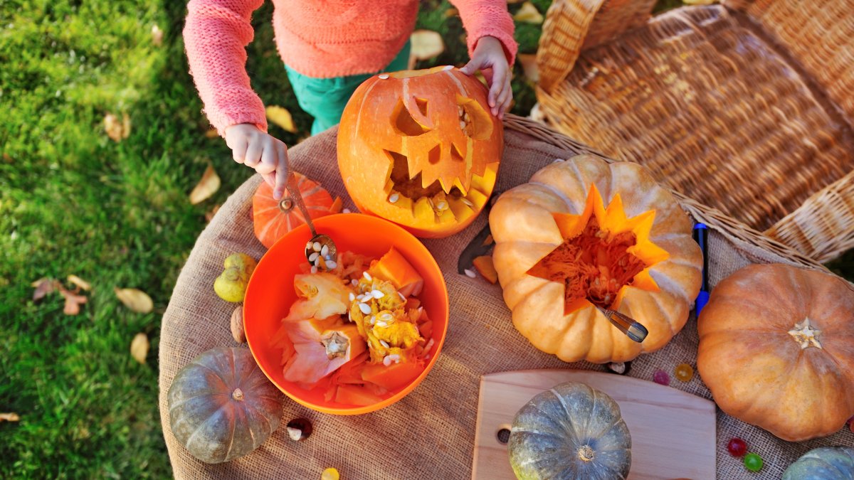 WATCH: How to Carve a Design Into a Pumpkin – NBC Los Angeles