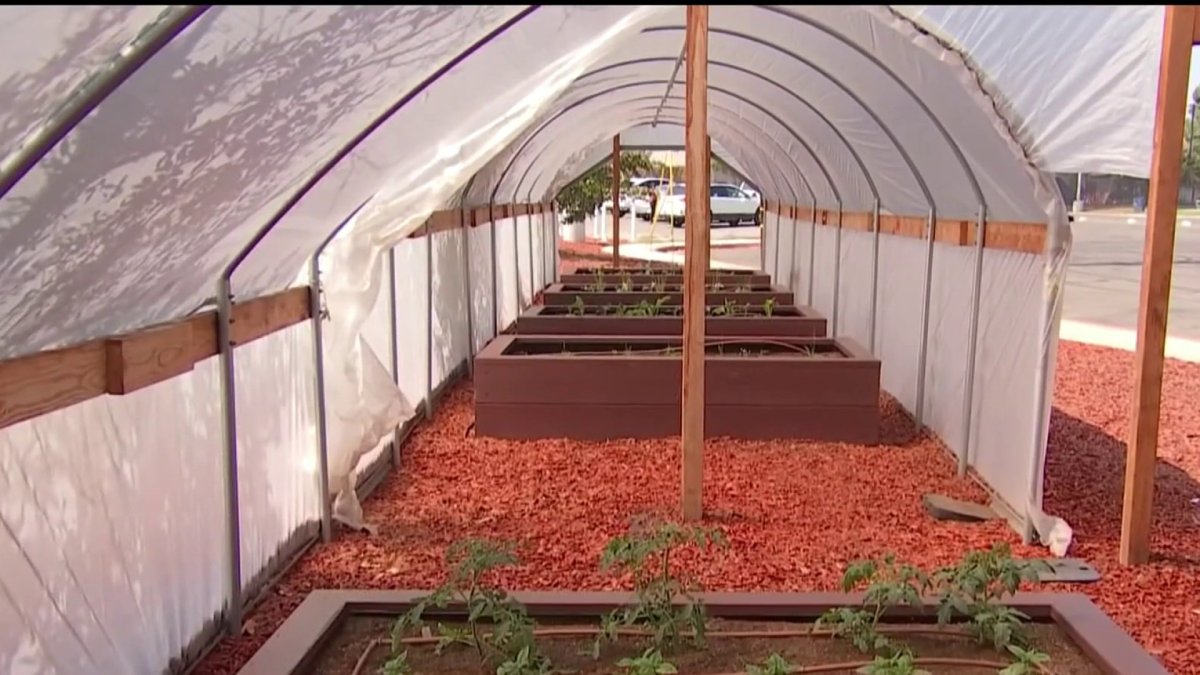 Compton Opens New Vegetable and Fruit ‘People’s Garden’ to Combat Food ...