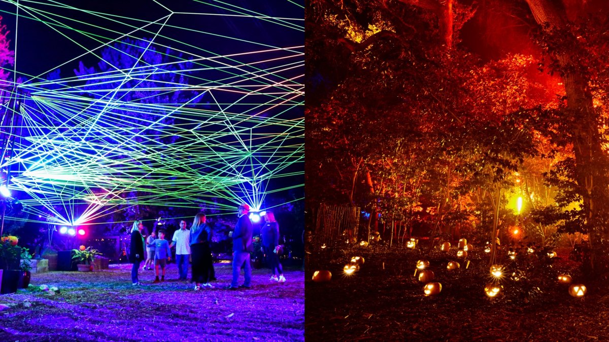 ‘Carved’ Begins Its Multi-Week Shimmer at Descanso Gardens – NBC Los ...