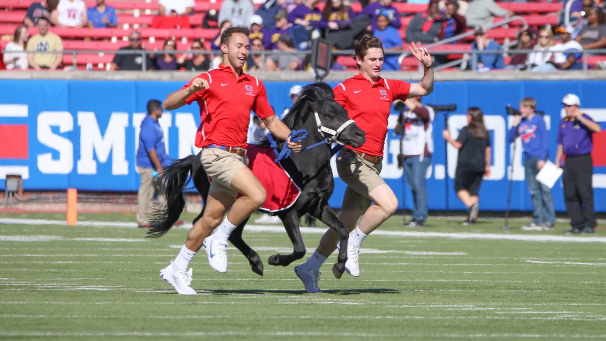 SMU-Navy Football Game Delayed After Pony Mascot Defecates on Field ...