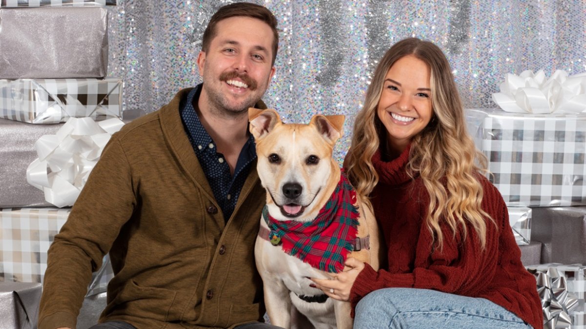 Sign up for Pasadena Humane’s Adorable Pet Portrait Sessions – NBC Los ...