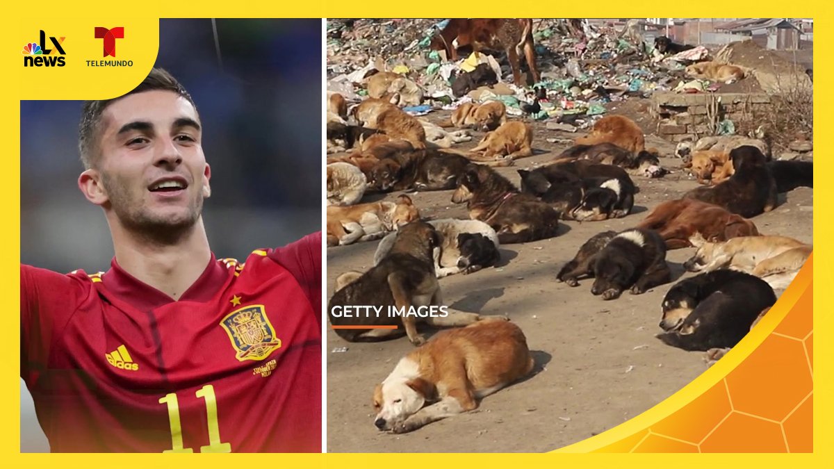 My New Favorite Futbolista: The Special Bond Between Soccer Player ...