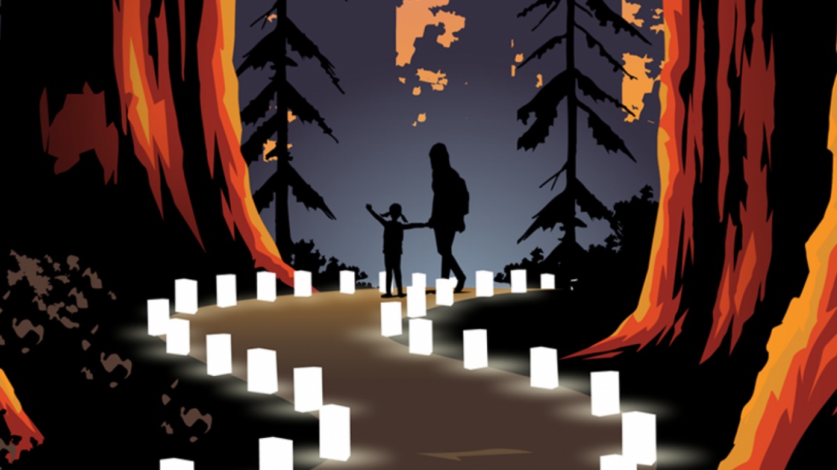 Wander Under Ancient Redwoods at a Magical Candlelight Walk – NBC Los ...