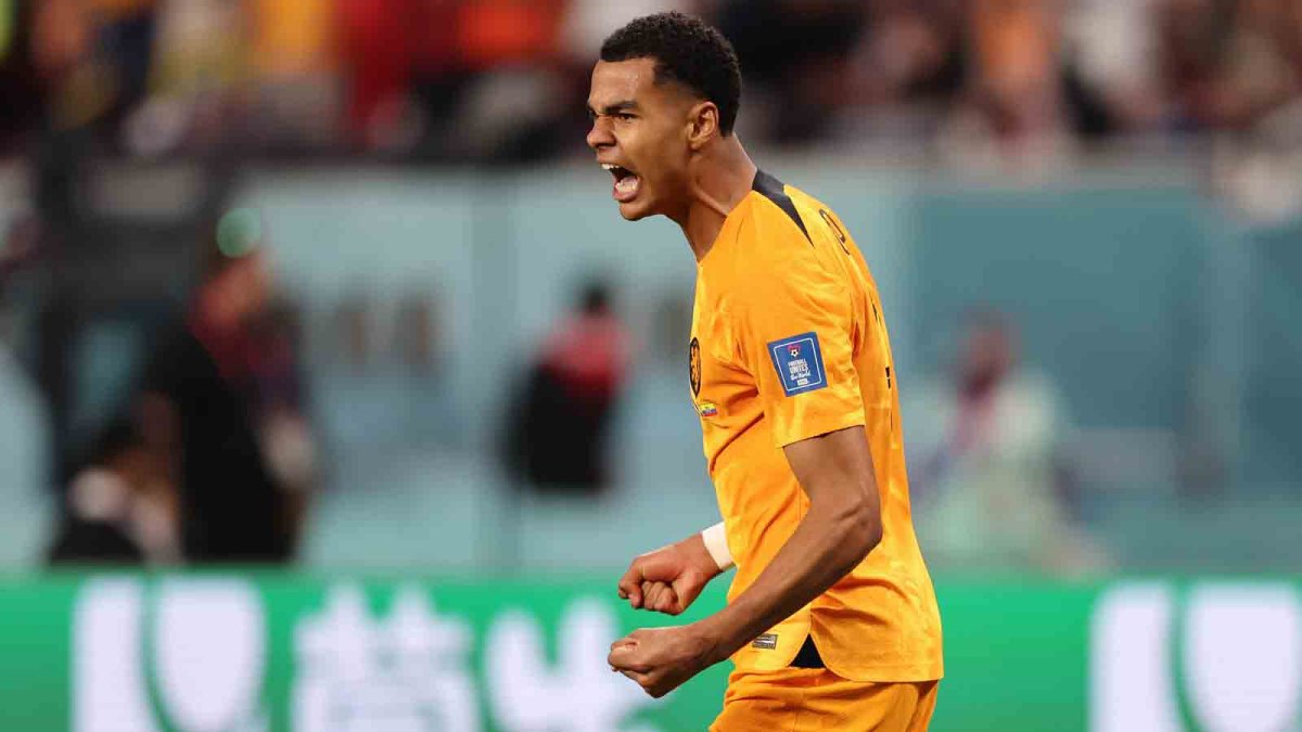 Cody Gakpo a Breakout Star at World Cup After Another Goal for ...