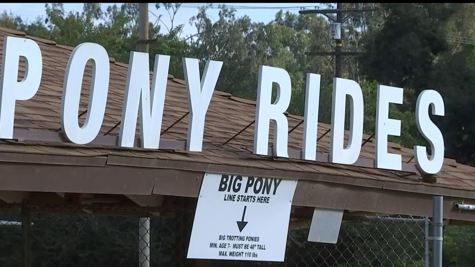 Griffith Park Pony Rides Birthday