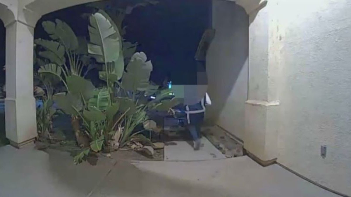 Thief Steals Delivery Van Moments After Driver Gets Out – NBC Los Angeles