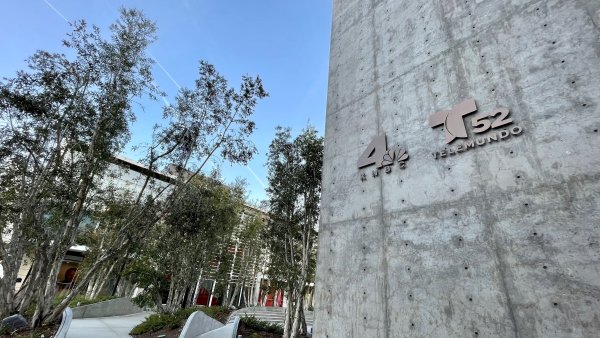 Meet the NBCLA and Telemundo52 Digital Team – NBC Los Angeles