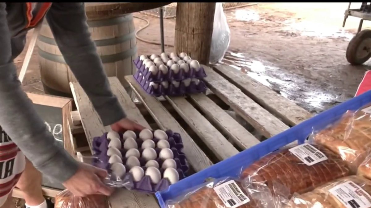 Egg Shortage and Price Hike Causing Customers to Scramble – NBC Los Angeles