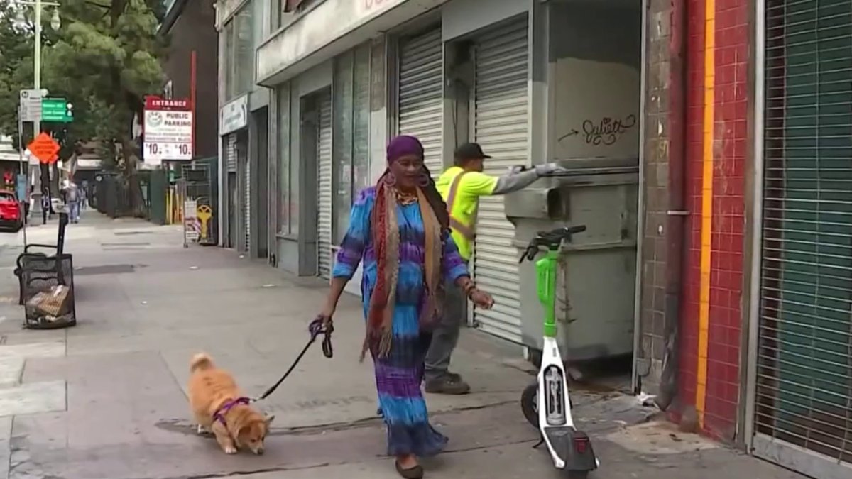 Woman Uses Art to Express Journey From Skid Row – NBC Los Angeles