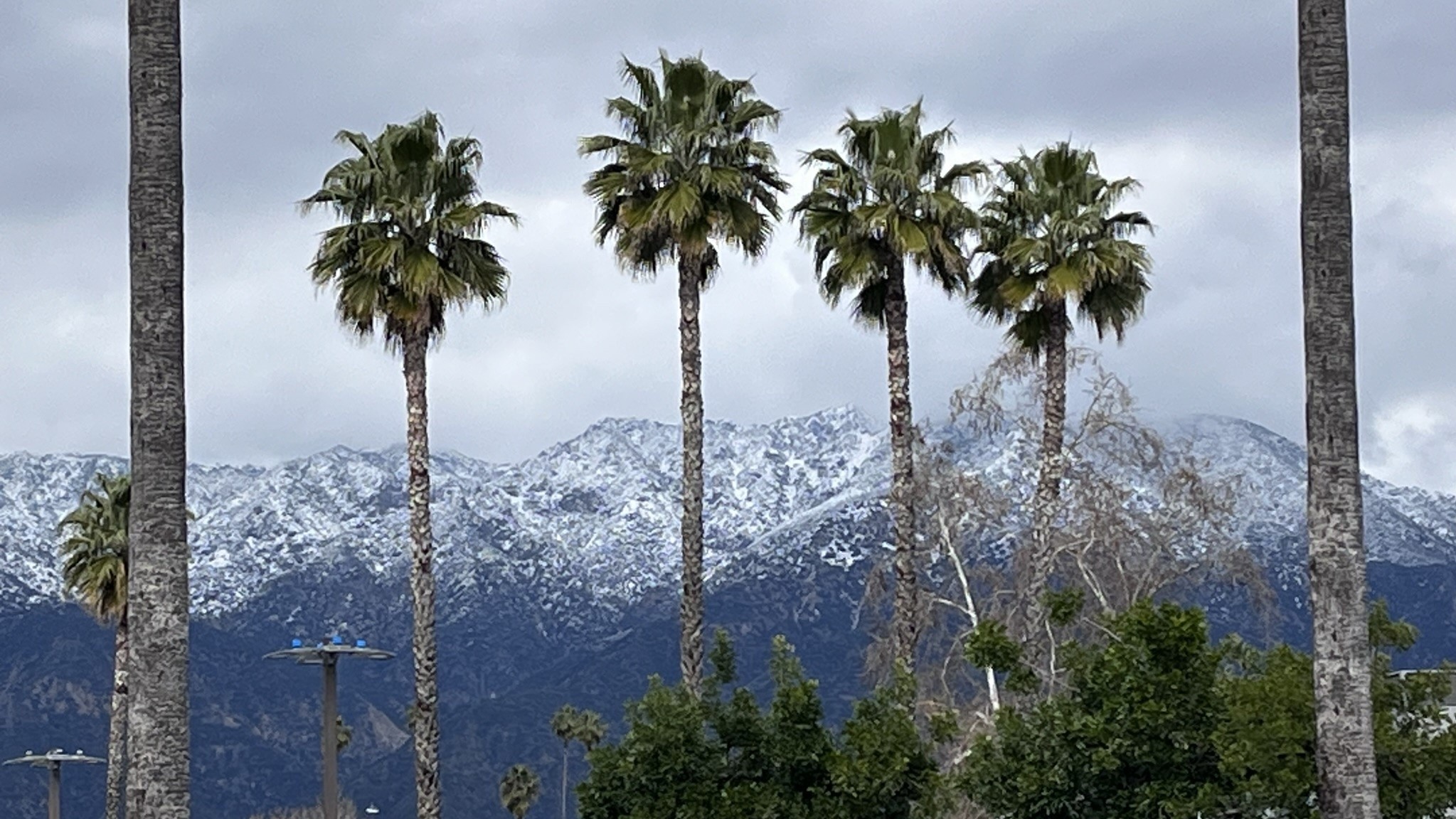 SoCal Weather Photos: Scenes From the Late-February Winter Storm – NBC ...