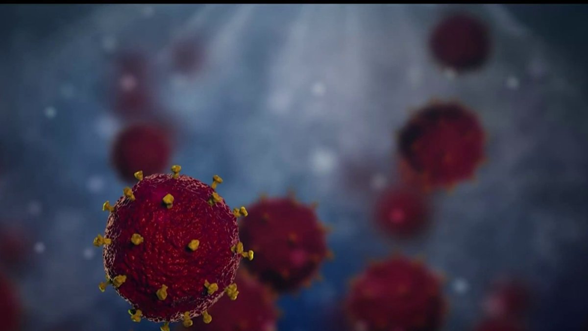 Norovirus Outbreak Forces Long Beach School to Close – NBC Los Angeles