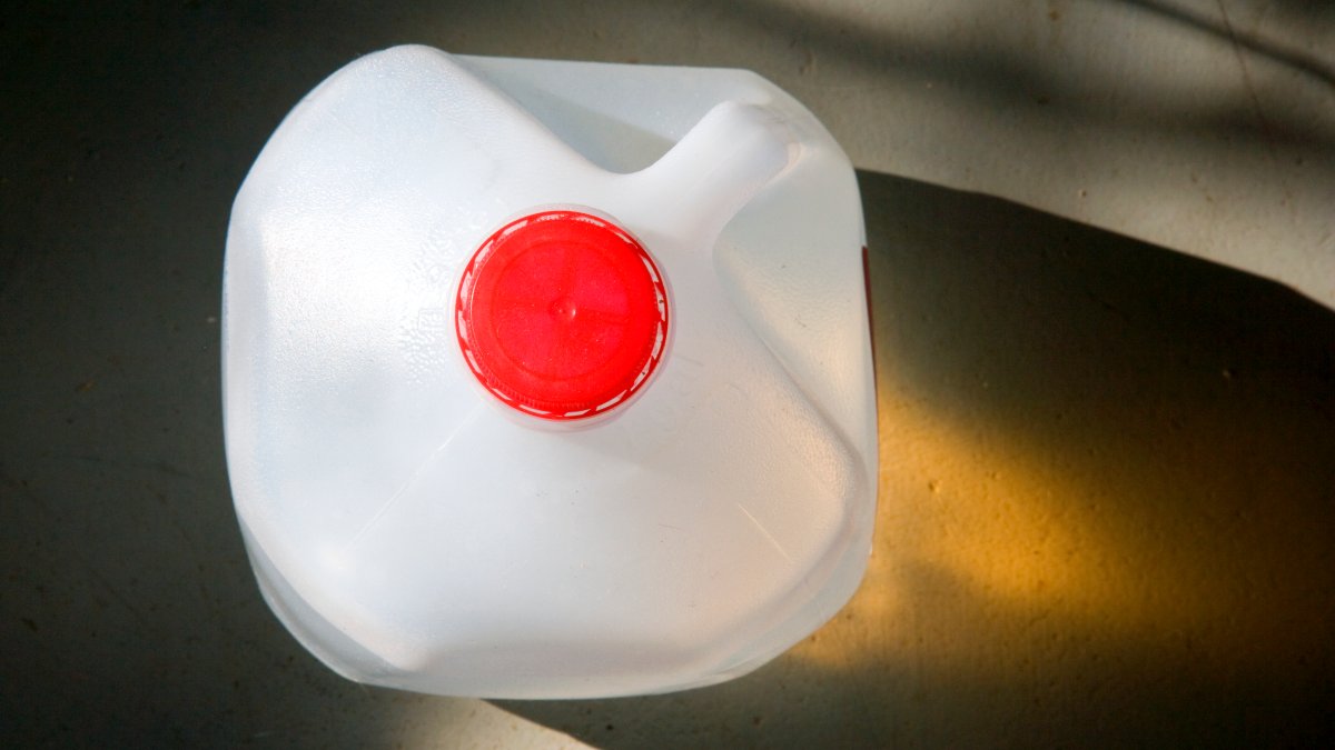 What Is a Borg? The New Trend Among College Students – NBC Los Angeles