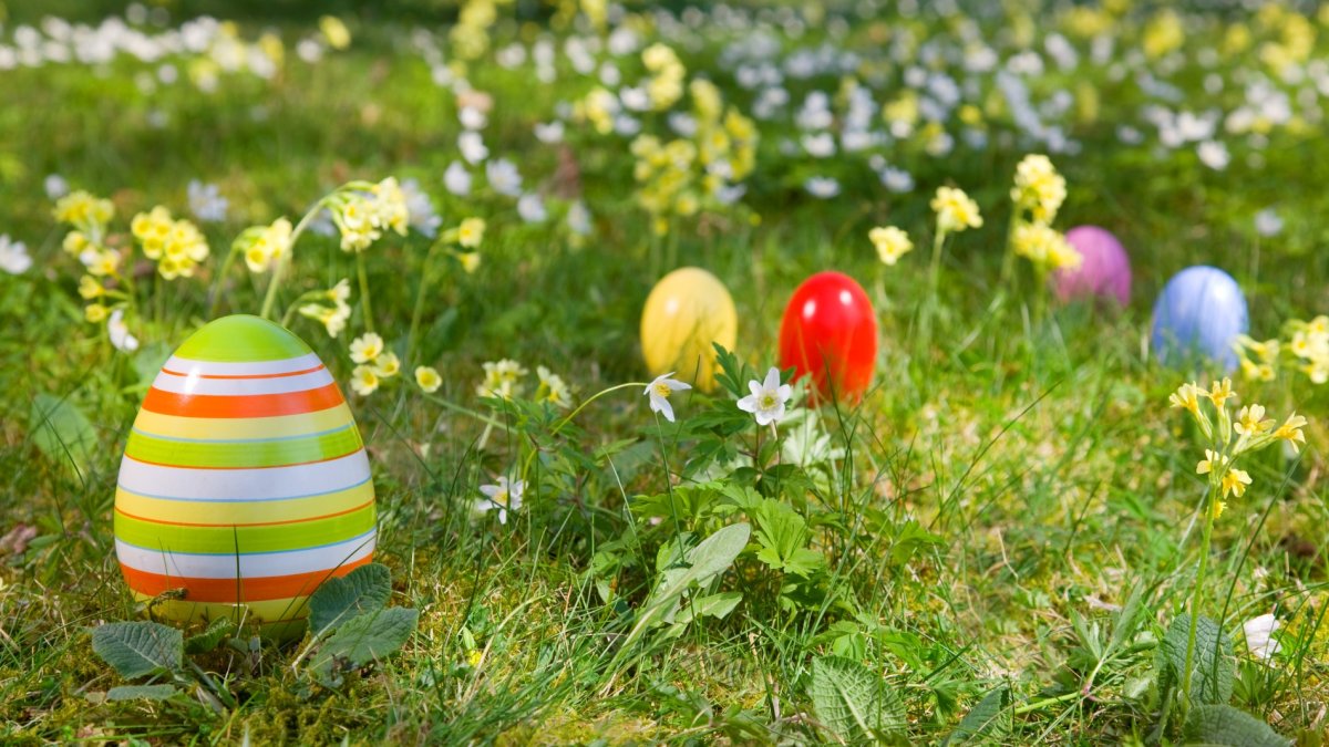 LA Arboretum’s ‘Spring Fling’ will hop with egg fun, cocktails, and ...