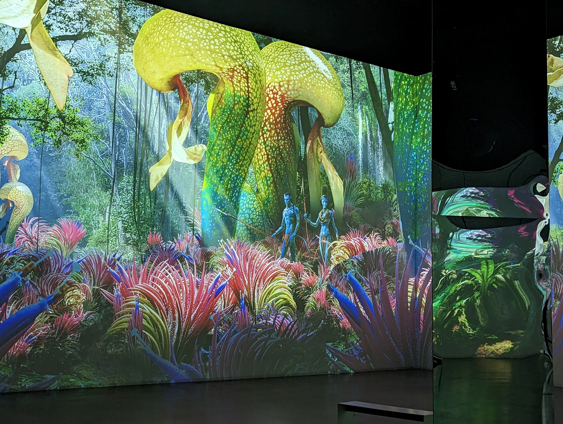 A Free ‘Avatar’ Experience Is Diving Into Hollywood Over Earth Day ...