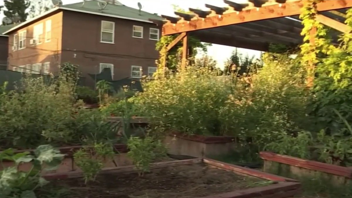Push to Save Compton Community Garden – NBC Los Angeles