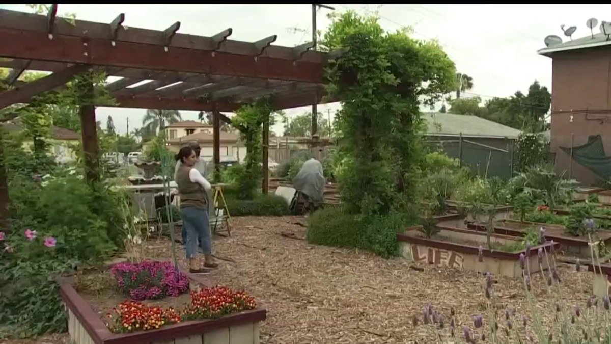 Down to the Wire: Organizers Try to Raise Funds to Save Compton ...