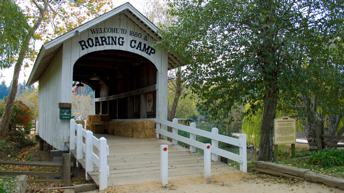 Roaring Camp boasts railroad adventures aplenty, by moonlight and sun ...