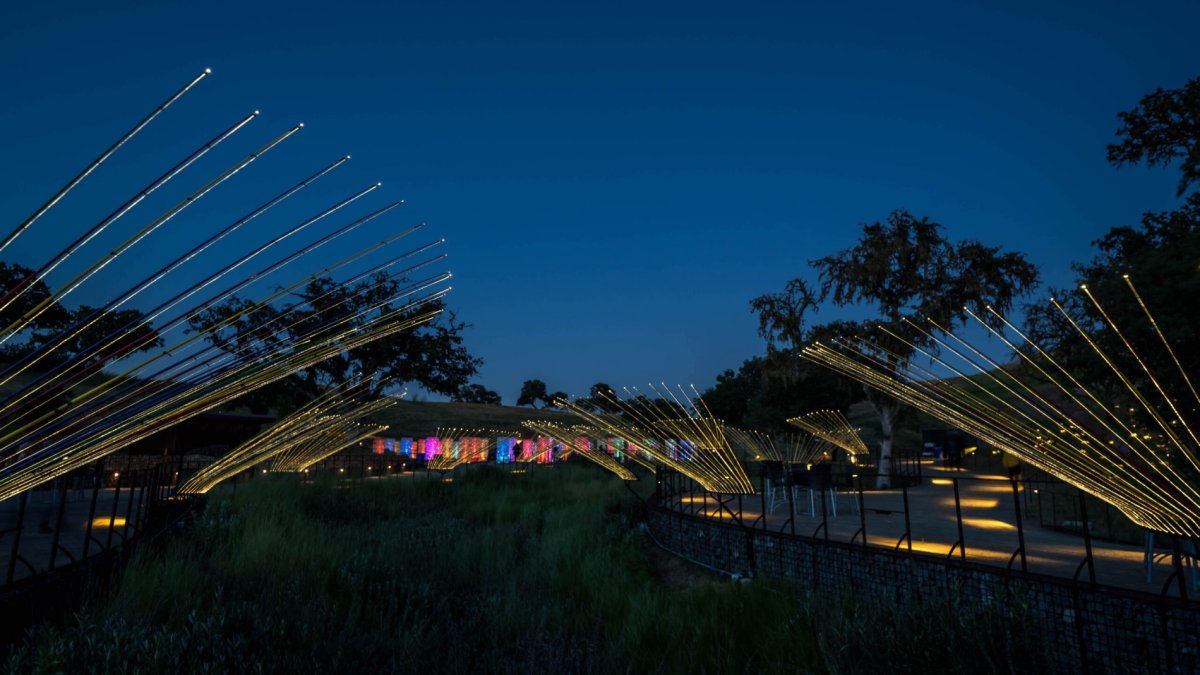 Two Magical Exhibits Just Opened at This Ethereal Light Experience in ...